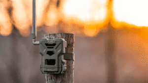Cellular Trail Cam Features That Maximize Convenience - Dine Wild